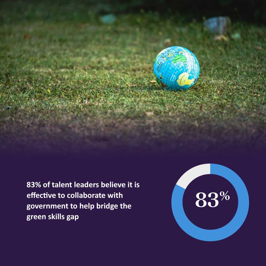 Tackling the skills crisis for a sustainable future - AMS